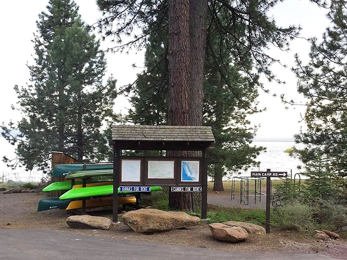North Shore Campground's kayak collection promises lake adventures just steps away. Retirement isn't about rocking chairs &ndash; unless they're in canoes.