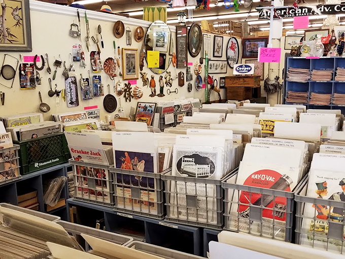 Vinyl records organized by someone who understands that music lovers browse like archaeologists&mdash;methodically and with great purpose.
