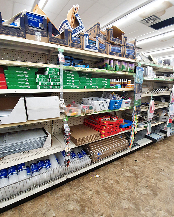 Office supply heaven where productivity meets affordability. Even tax season feels less painful when your organizational tools cost less than lunch.