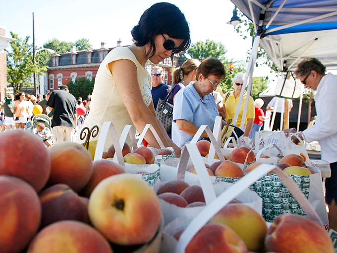 The Peach Festival brings the community together in sweet celebration, where locally grown fruit becomes the star of Delaware's favorite summer gathering.