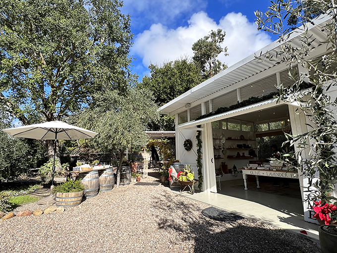 White buildings and gravel pathways lead to olive oil tastings under oak trees&mdash;because wine shouldn't have all the fun in this town.