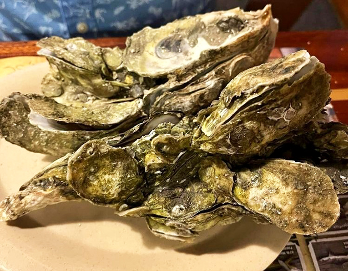 Oysters: Nature's little mystery boxes from the sea. Each one a briny surprise that either converts you for life or sends you running.