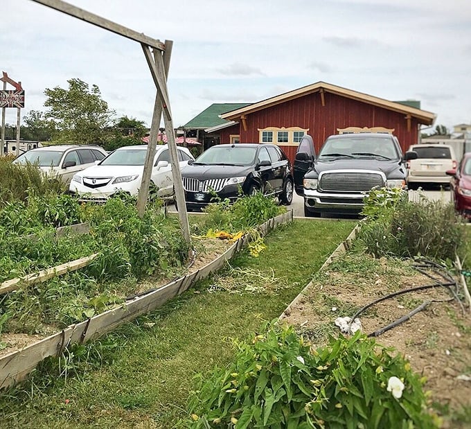Beyond the garden beds that hint at fresh ingredients, a full parking lot speaks volumes about Payne's popularity among locals and visitors alike.
