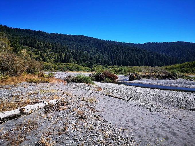 Where forest meets river in a landscape that hasn't changed its profile in millennia. Mother Nature's original infinity pool.