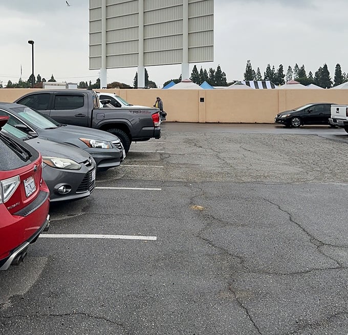 Ample parking ensures your treasure-hunting expedition starts without the usual urban parking nightmares.