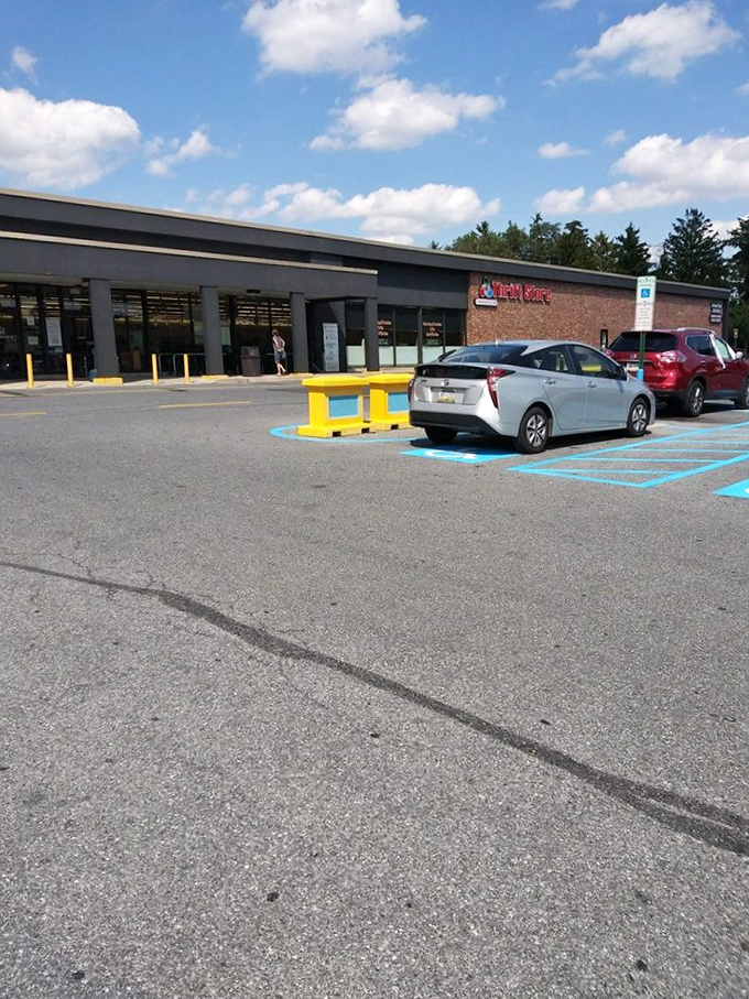 The parking lot fills early on weekends. Pro tip: arrive with coffee in hand and comfortable shoes on feet.