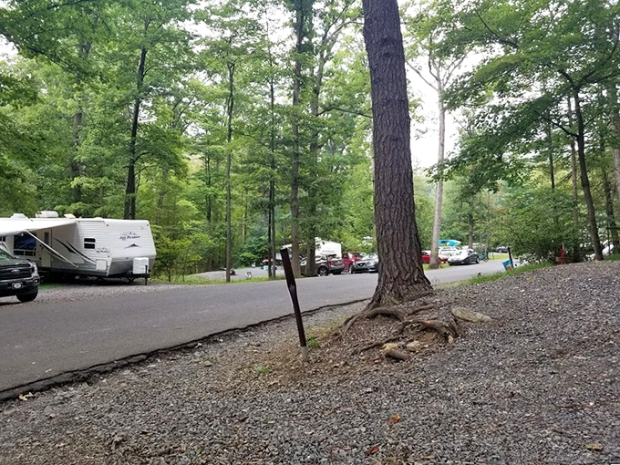 Camping with conveniences&mdash;where wilderness meets comfort. These campers have mastered the art of bringing just enough civilization along.