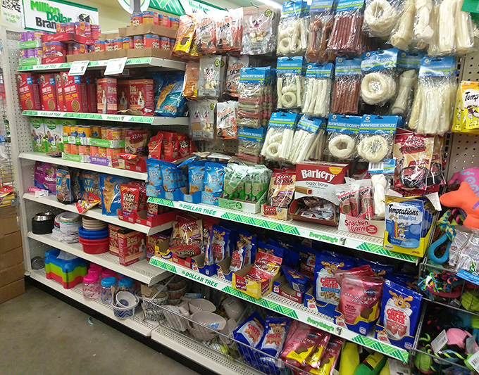 Pet supplies that prove you can spoil your furry family members without having to eat kibble yourself to afford it.