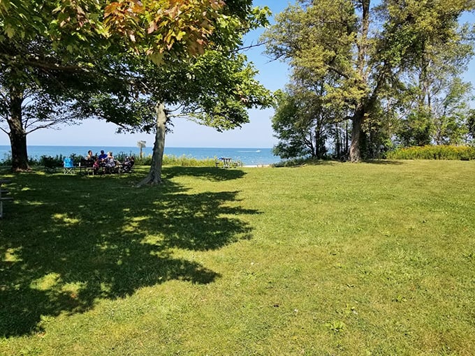 Shaded picnic areas offer respite from summer sun, where family reunions and cooler sandwiches create lifetime memories.