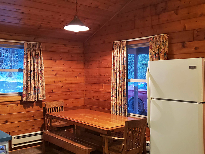 Rustic comfort at its finest! These modern cabins blend wilderness charm with practical amenities, because appreciating nature doesn't require sacrificing refrigeration.
