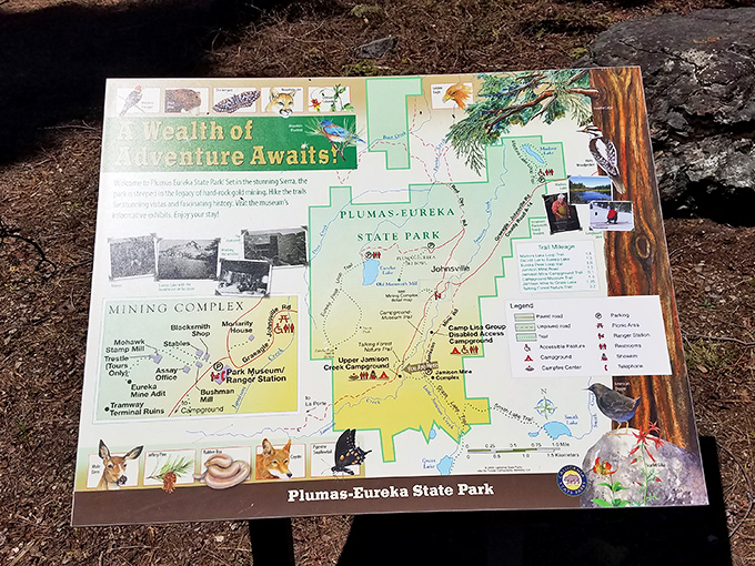 Treasure map to wilderness wonders! This informative guide ensures you won't miss the park's greatest hits during your visit.