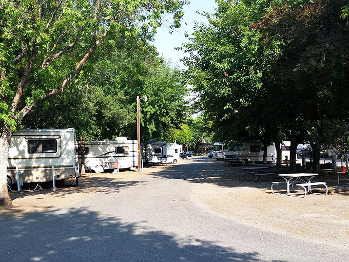 RV parking that actually accommodates real travelers, not just weekend warriors with tiny trailers and attitudes.