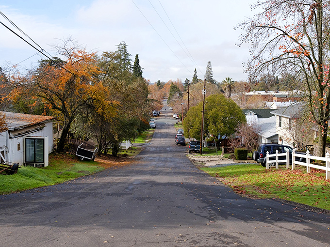 Tree-lined streets where neighbors actually wave to each other&mdash;Ione's residential areas offer the increasingly rare luxury of knowing who lives next door.