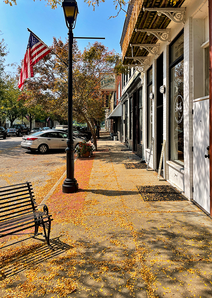 American flags flutter along Main Street, where ornate Victorian details and wrought iron accents remind us that craftsmanship never goes out of style. 