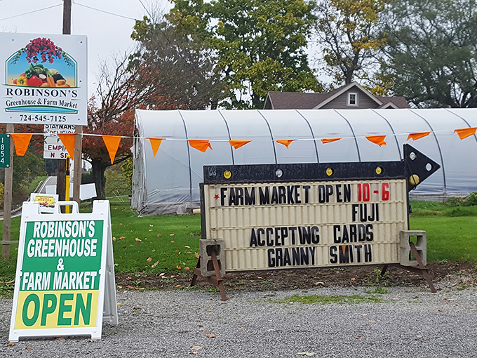 Robinson's Greenhouse announces autumn's arrival with classic farm market flair, where "accepting cards" meets "Granny Smith" in a delightful blend of tradition and practicality.