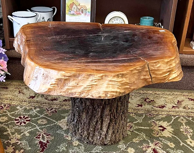 Mother Nature's coffee table &ndash; where a tree stump transforms into functional art that would make any rustic design enthusiast reach for their wallet.