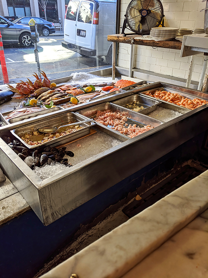The seafood display &ndash; a glistening array of ocean treasures on ice. Like Neptune's jewelry box opened for mere mortals to admire.