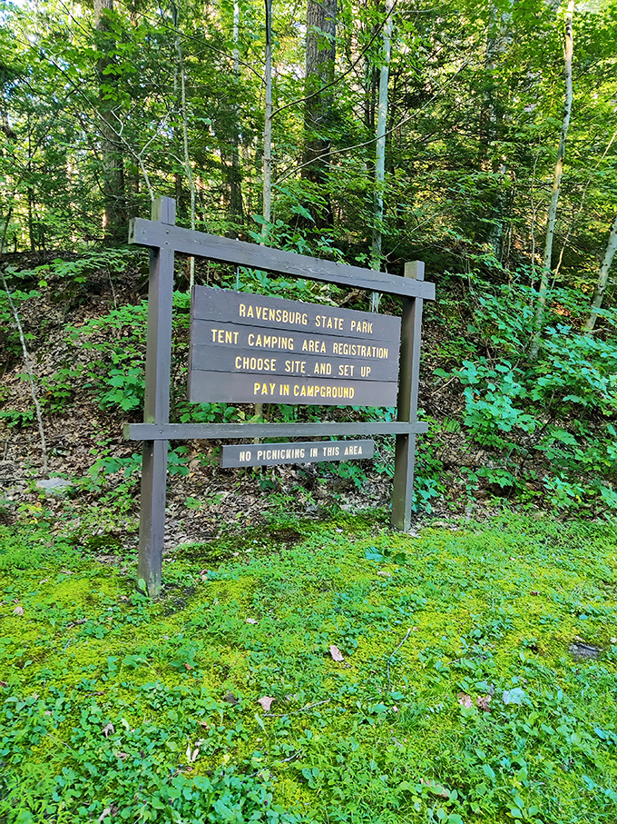 Camping instructions haven't changed much since the 1950s: pick a spot, set up, pay up, and prepare for nature's show.