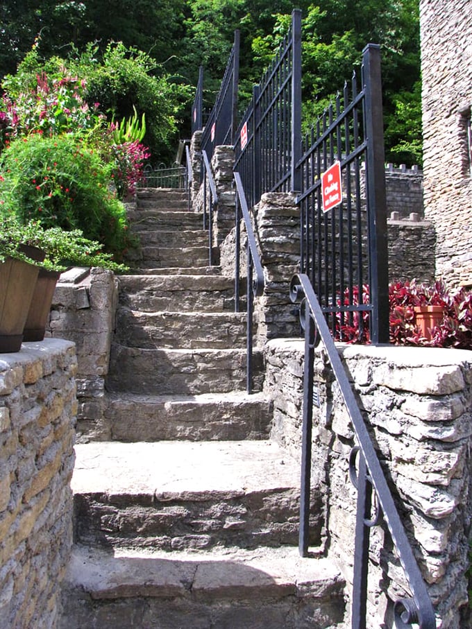 Stone steps wind upward through lush greenery, offering a path that feels more European countryside than suburban Cincinnati neighborhood. 