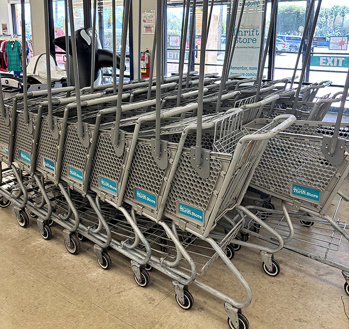 Shopping carts await their treasure-hunting expeditions. These silver steeds have carried countless bargains to their forever homes.
