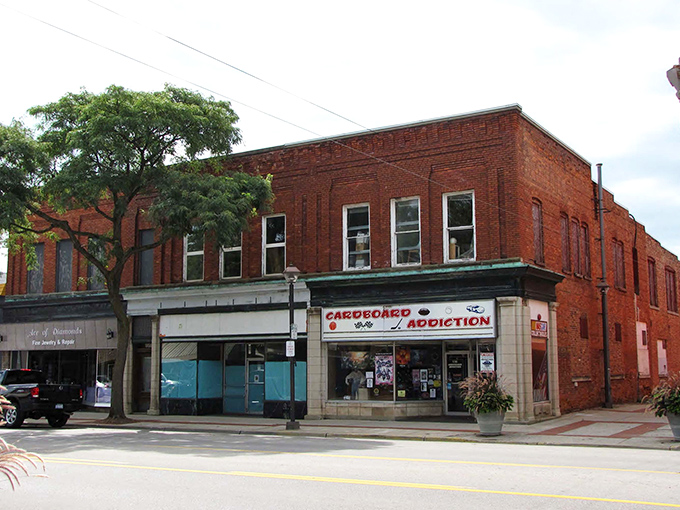 Cardboard Addiction proves small towns understand niche interests too. Where else can you feed your gaming habit while supporting a local business?