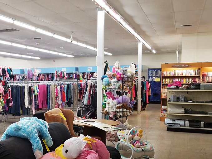 Stuffed animals and baby gear await new families. That blue plush dinosaur isn't just adorable—he's practically begging for a second chance at being loved.