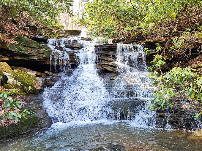 Sugar Run Falls cascades like nature's own staircase. Water has never looked so determined yet graceful, tumbling over ancient Appalachian stone.