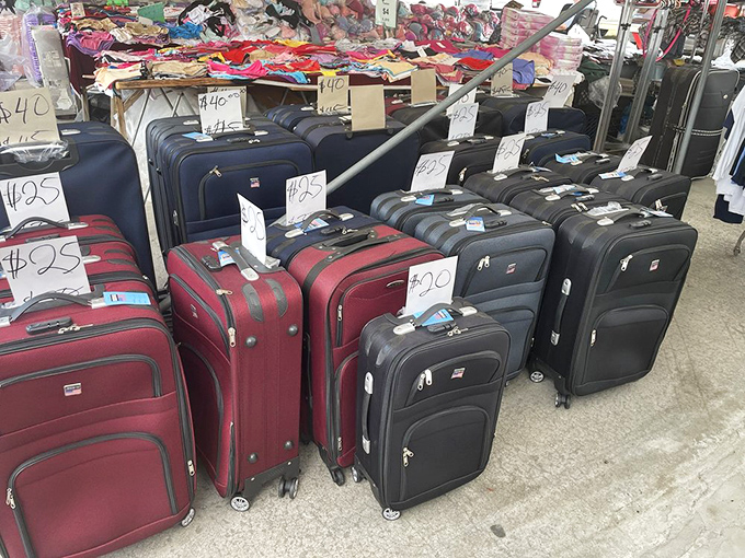 Luggage lineup ready for your next adventure. These suitcases have seen less of the world than you have, but they're eager to start.