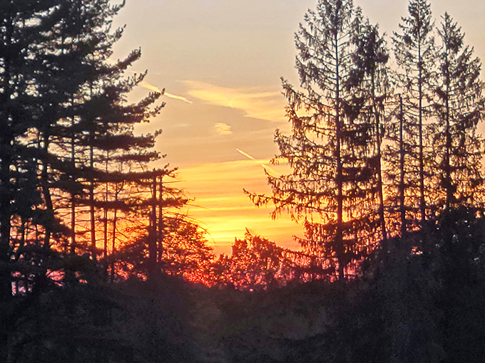 The day's grand finale. As the sun sets through towering pines, night sky enthusiasts prepare for the real show to begin.