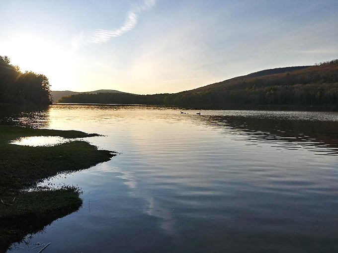 Sunsets over the Allegheny create the kind of lighting that makes professional photographers weep with pure envy.
