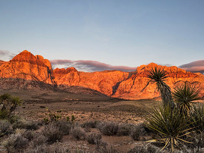 The desert's grand finale as sunset ignites the landscape. When rocks glow this color, you understand why artists have been drawn here for centuries.
