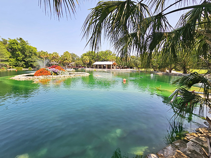 Sunlight dances across the surface of this spring-fed oasis. Palm trees stand sentinel over waters hiding prehistoric secrets.