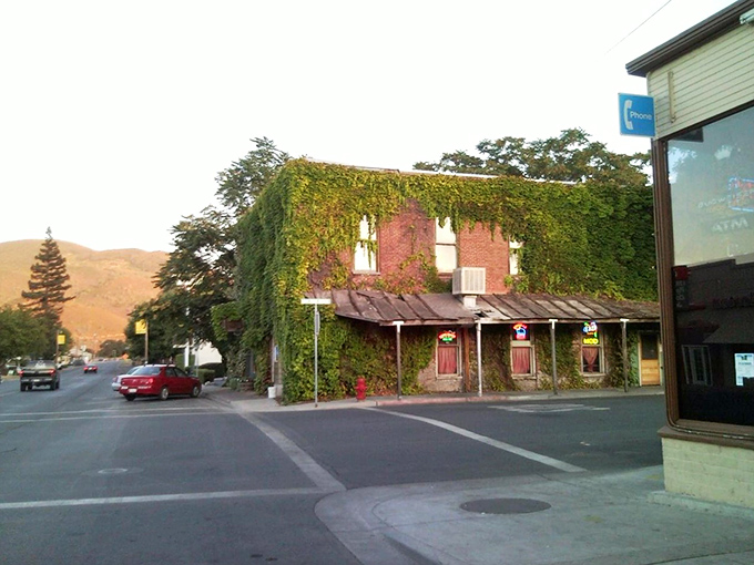 The Brick Tavern, where ivy embraces history and locals embrace visitors. This Main Street fixture has witnessed more stories than a bestselling author.