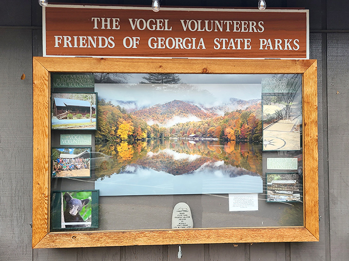 The Vogel Volunteers showcase autumn's masterpiece&mdash;proof that Georgia doesn't need New England to put on a fall color spectacle.