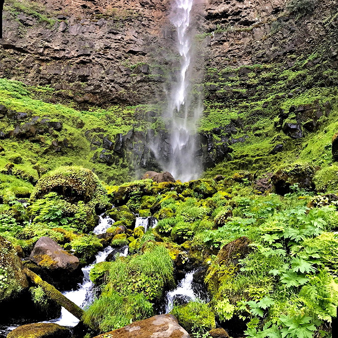 Vertical poetry in motion! Toketee's main cascade creates a mesmerizing ribbon of white against a canvas of vibrant moss.