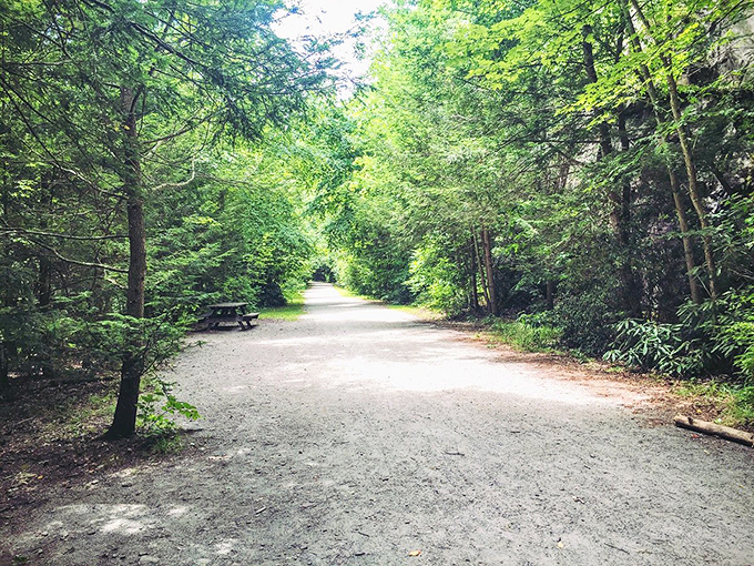 Well-maintained trails wind through forests that feel like walking through Pennsylvania's own private nature preserve.