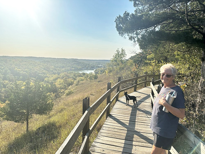 Boardwalk trails wind through forest, connecting natural wonders with man-made marvels in perfect Missouri harmony.