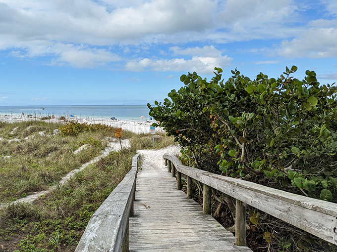 Wooden walkways lead through coastal vegetation toward inevitable bliss. This path promises the reward of waves at its conclusion.