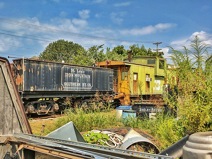 Silent sentinels of a bygone era, these weathered train cars wait patiently for their stories to be discovered by curious visitors.