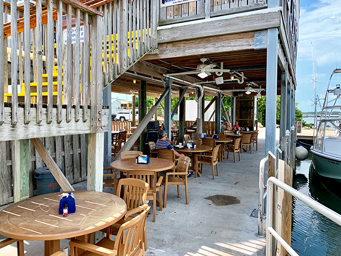 Under-deck dining that feels like discovering a secret seafood clubhouse. Casual tables where memories are made between bites of fresh catch.
