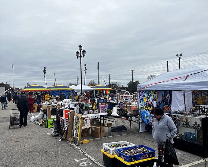 Even on cloudy days, the market buzzes with the electricity of potential finds. That shopper with the black bag? She's already spotted her target.