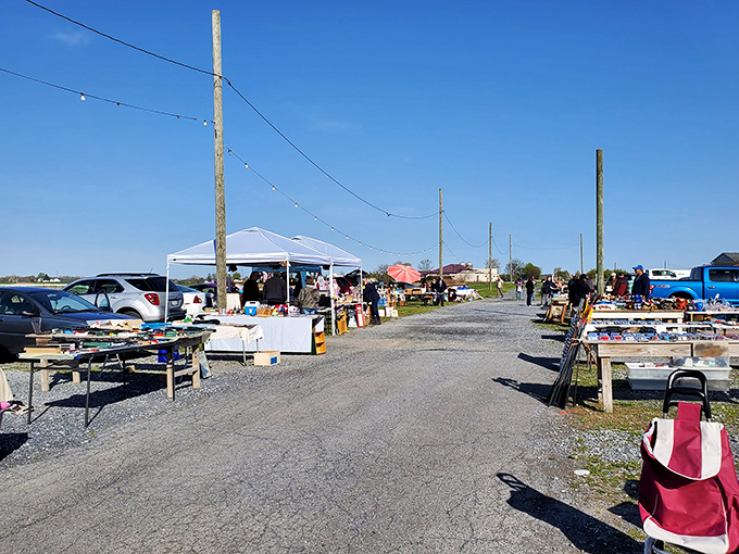 The calm before the shopping storm&mdash;early morning at Root's, when vendors arrange their wares and seasoned shoppers plan their strategy.