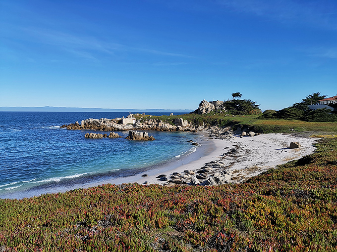 This pristine beach cove looks like it was designed by a collaboration between Mother Nature and the best set designer in Hollywood.