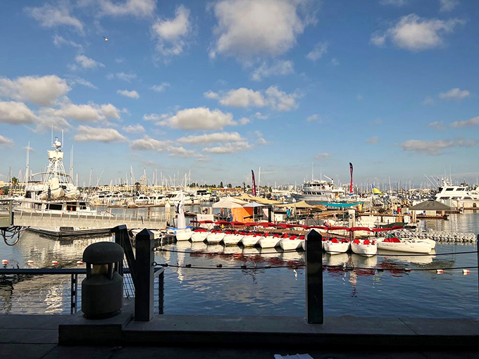 Dining with a view of the very waters your lunch came from&mdash;a maritime connection that makes every bite taste just a little bit better.