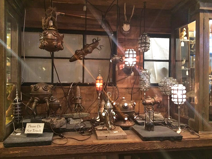 Steampunk meets natural science in these fantastical lighting creations. "Please Do Not Touch" signs are necessary temptations for hands itching to explore.