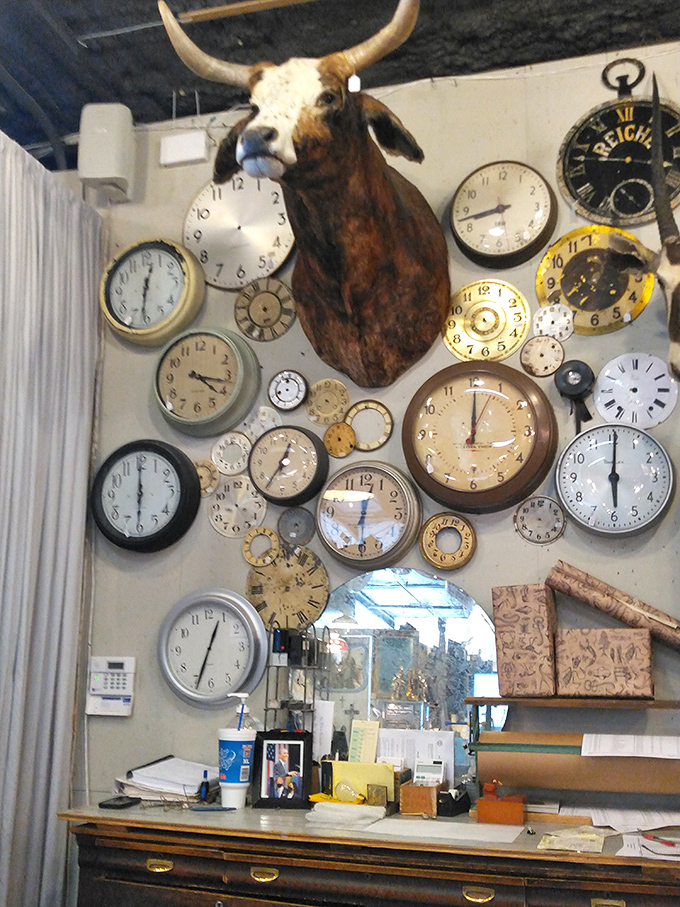 Time literally stands still in this corner. That longhorn seems to be saying, "I've got all day—do you?"