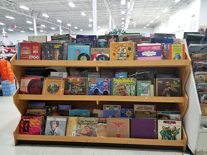 Vinyl enthusiasts, rejoice! These record bins hold forgotten albums and hidden gems waiting for their needle-drop moment of rediscovery.