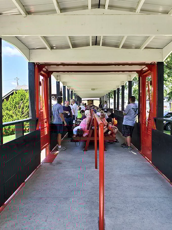 All aboard the open-air car, where strangers become temporary travel companions united by the shared thrill of vintage rail travel.