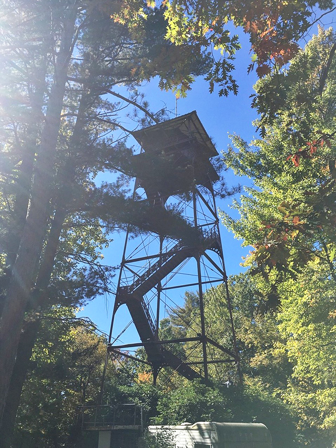 This fire tower stands as a sentinel among the trees, offering brave climbers views that make the knee-wobbling ascent entirely worthwhile.
