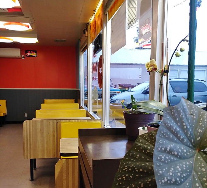 Window seats offer front-row viewing for the daily parade of donut devotees and converts.